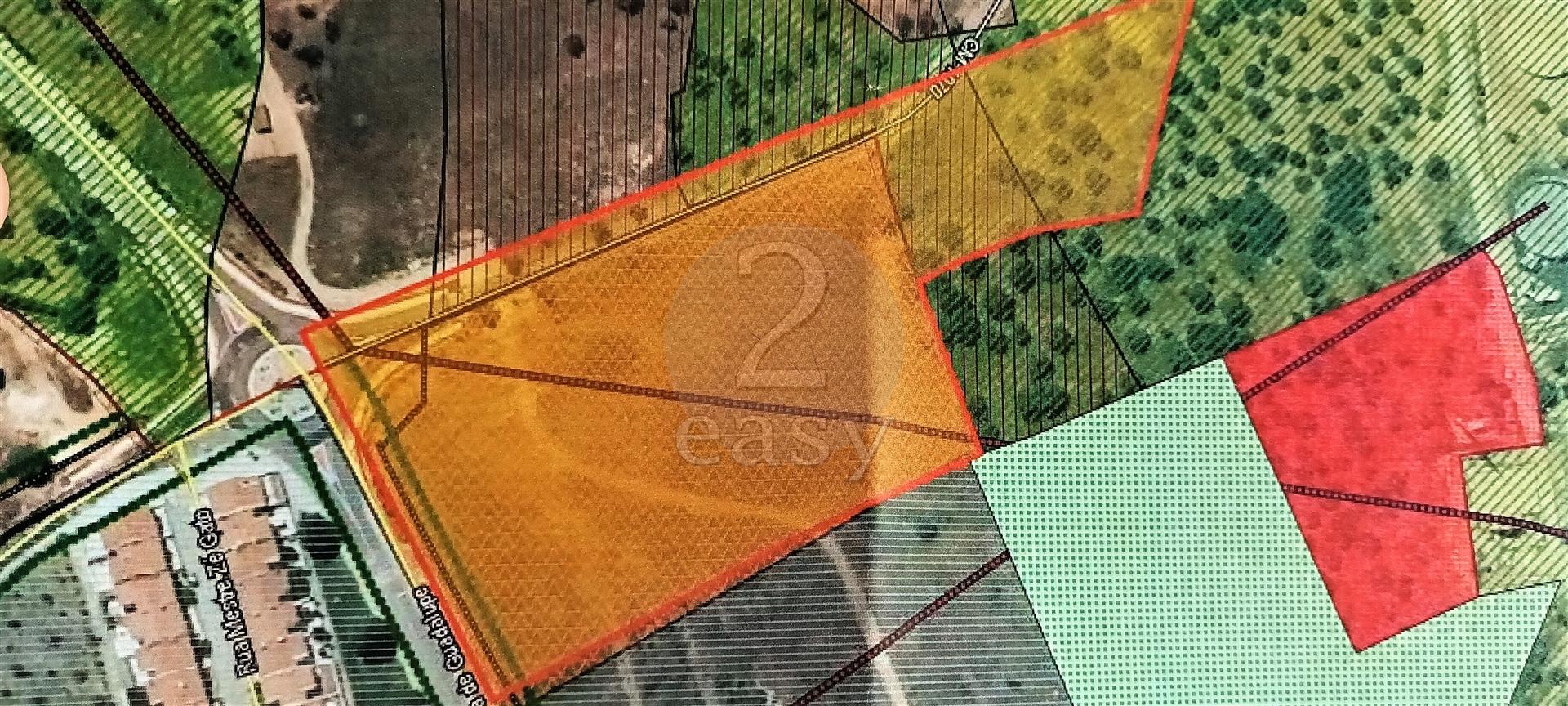 terreno-com-2-hectares-em-serpa-ref-031861018-habitar-portugal